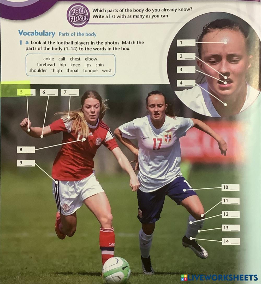 Part Of Body 7143836 | sarandellta | Live Worksheets