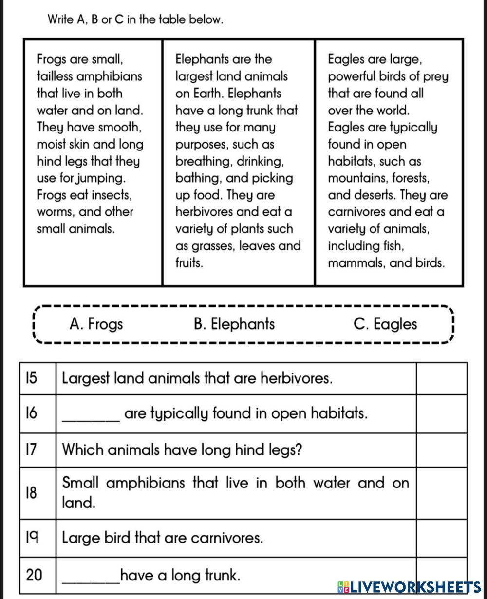 Worksheet A - Animals | Live Worksheets