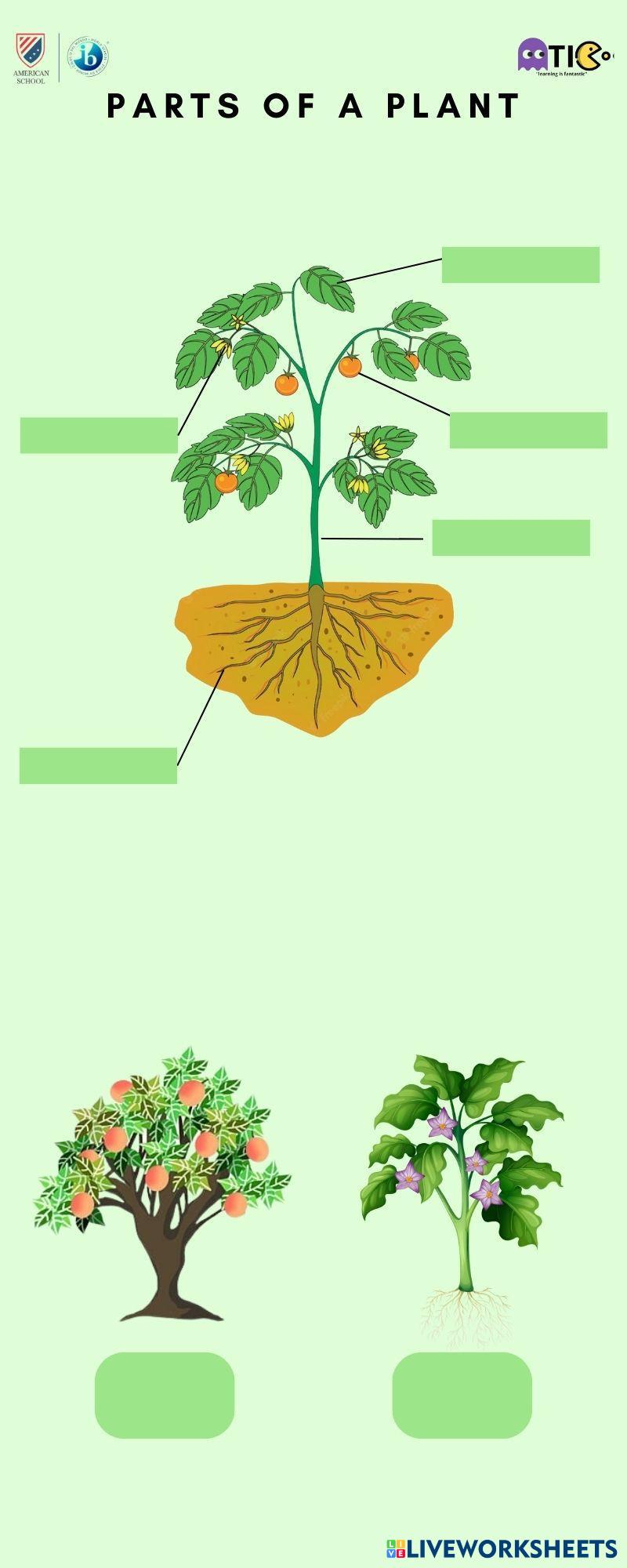 Parts of a plan | Live Worksheets