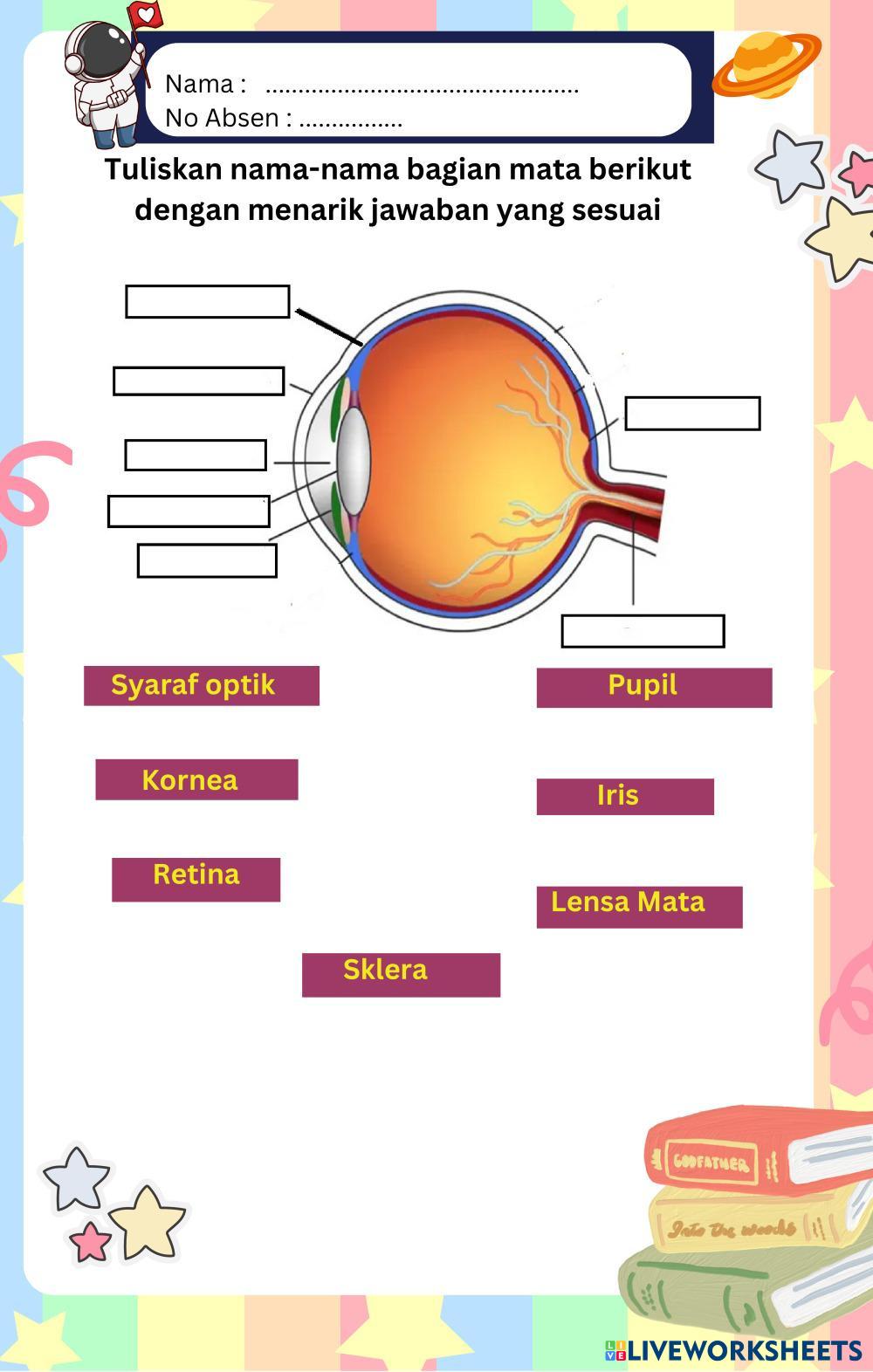 IPAS MATA DAN T… | Free Interactive Worksheets | 7157826