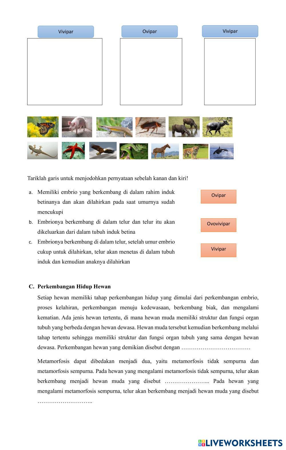 PERKEMBANGBIAKAN HEWAN | Live Worksheets