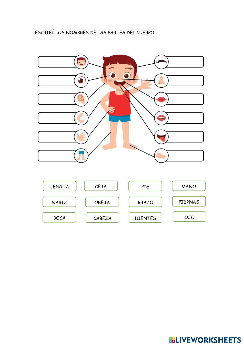 Partes Del Cuerpo Kaqchikel Worksheet Partes Del Cuerpo – Bilarasa Partes Del Cuerpo Kaqchikel Worksheet Partes Del Cuerpo – Bilarasa