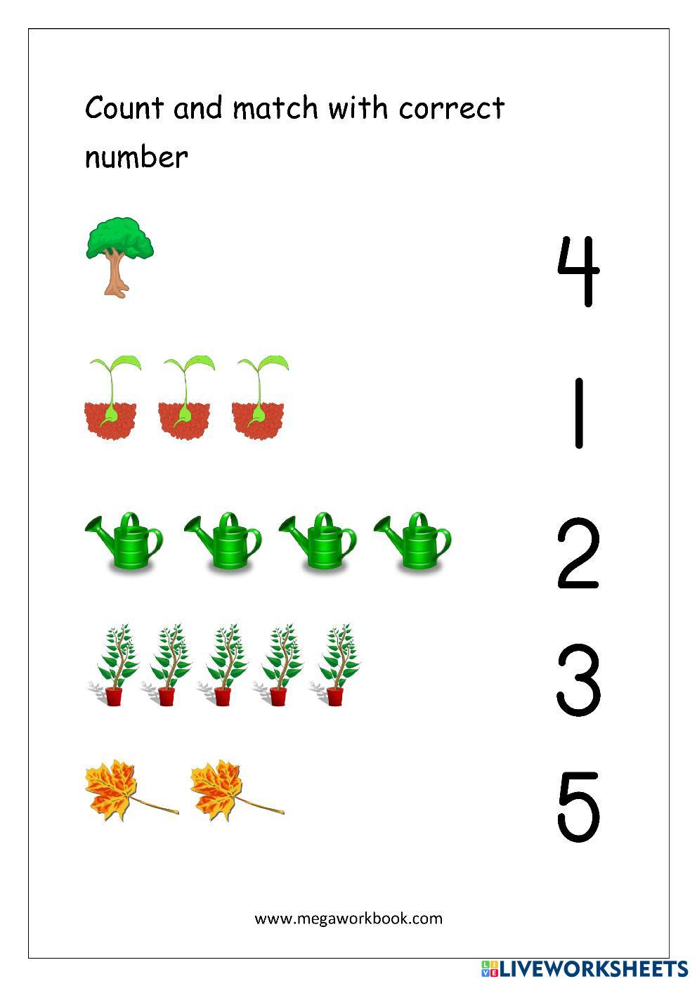 matching numbers and objects
