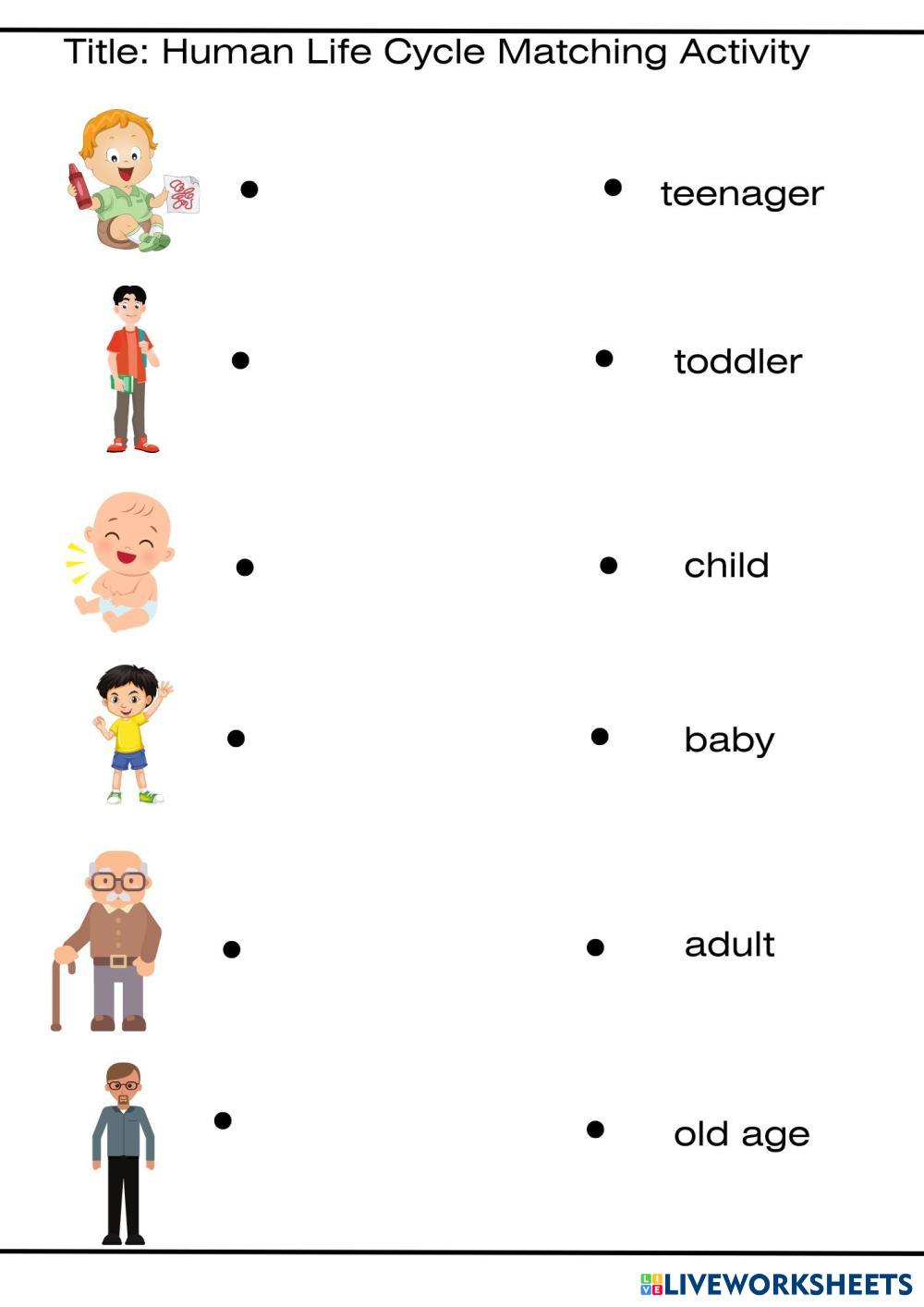 Human Life Stages Interactive Worksheet Live Worksheets, 45% OFF Human Life Stages Interactive Worksheet Live Worksheets, 45% OFF