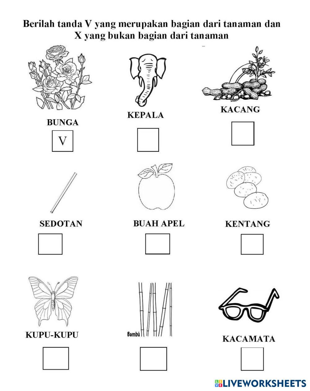 TEMA 1 | Live Worksheets