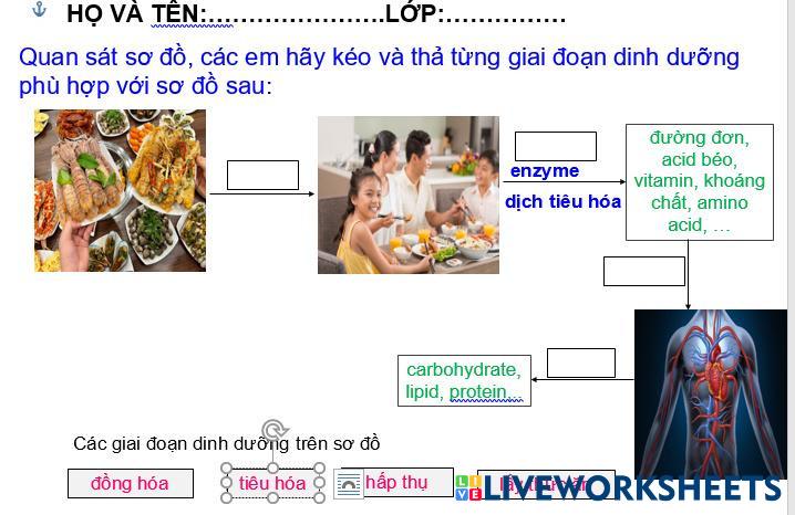 drap and drop | Live Worksheets