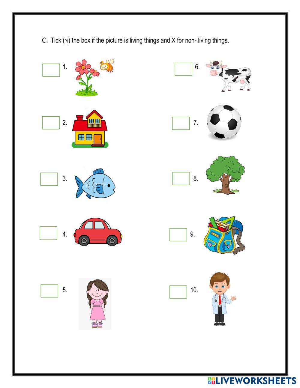 Activity Worksheets 1 7178402 | jessa14 | Live