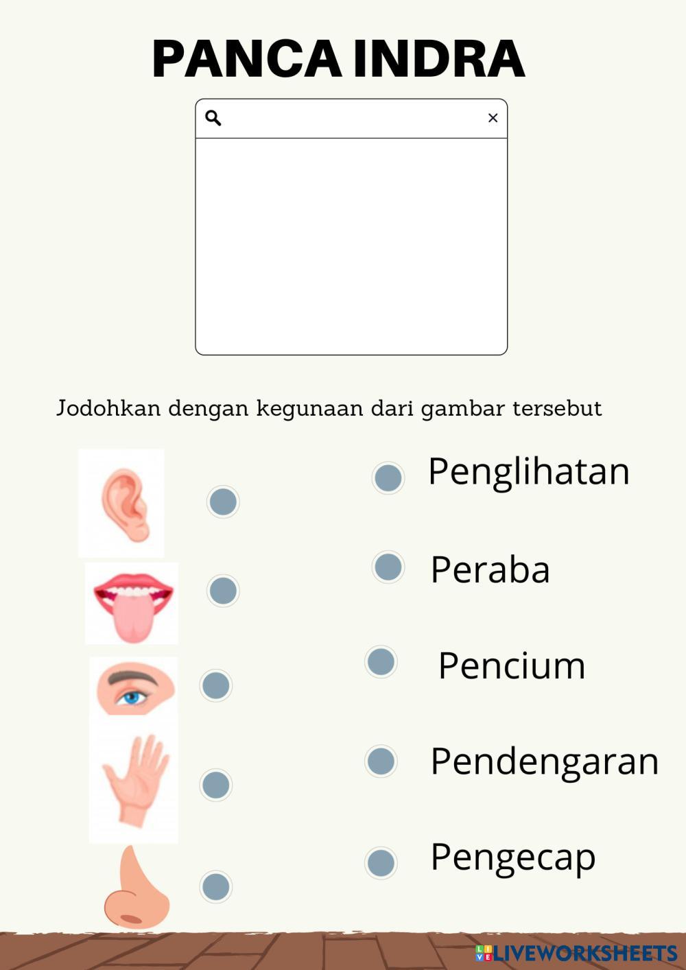 PANCA INDRA | Live Worksheets