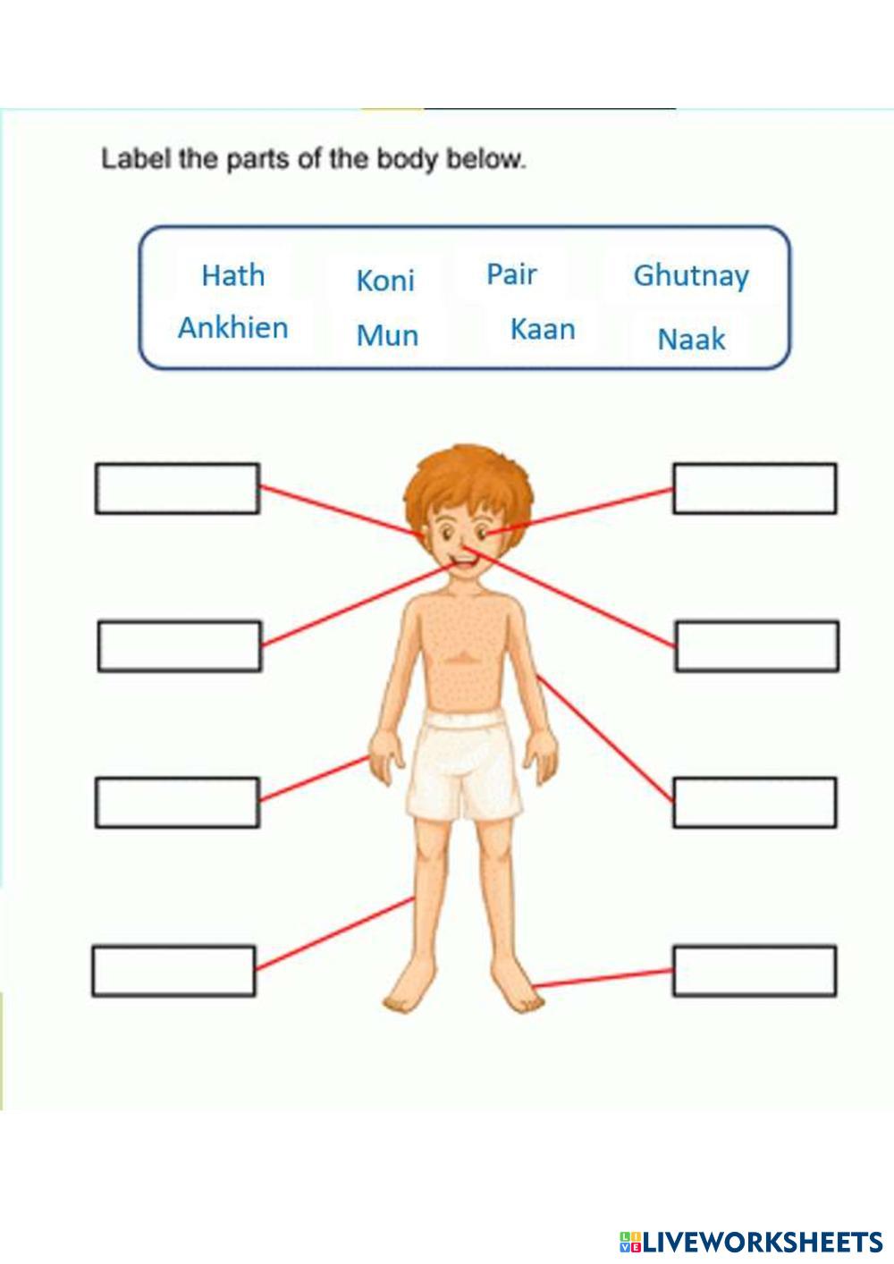 Numbers and Body Parts | Live Worksheets