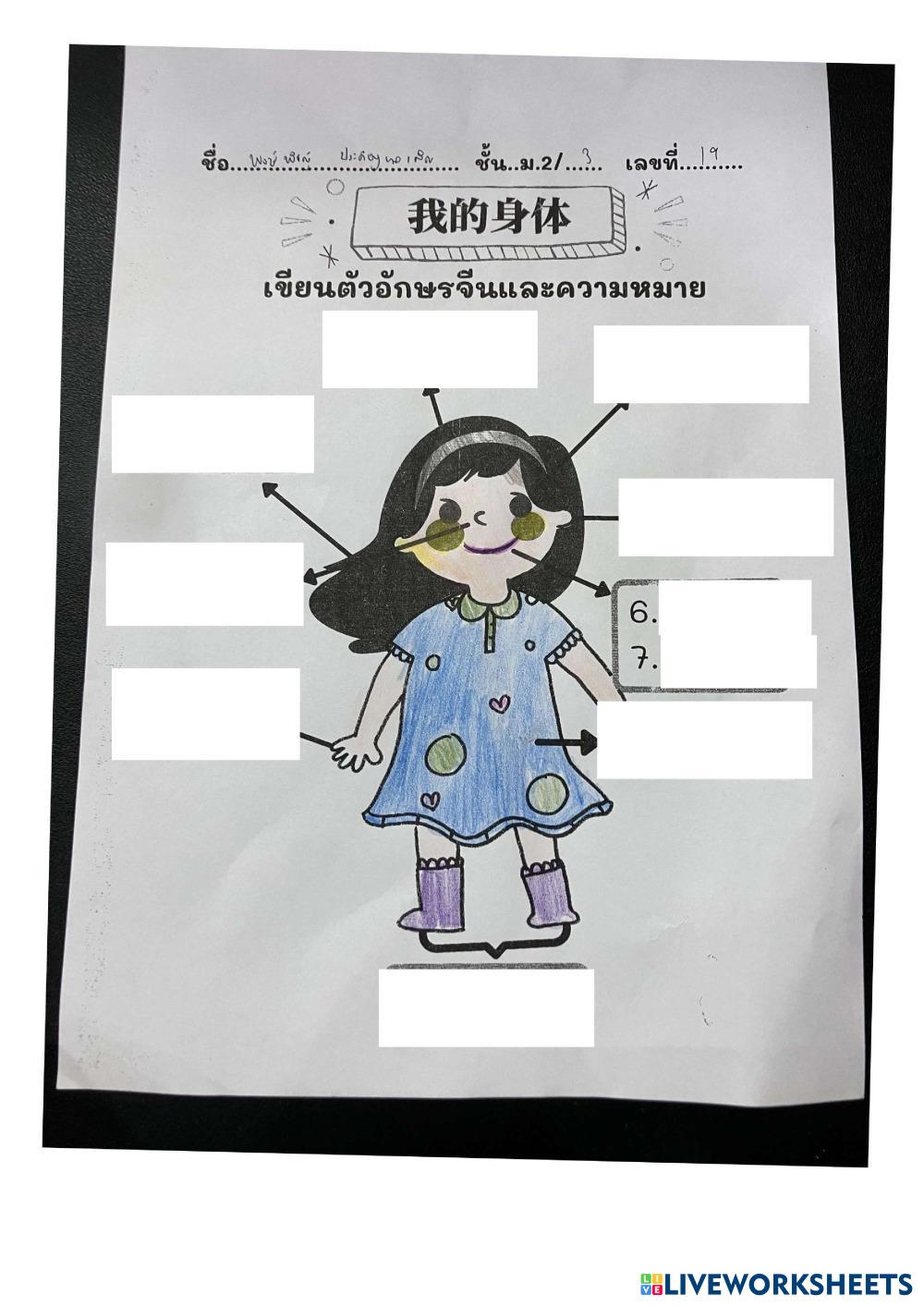 chinese human | susususus | Live Worksheets