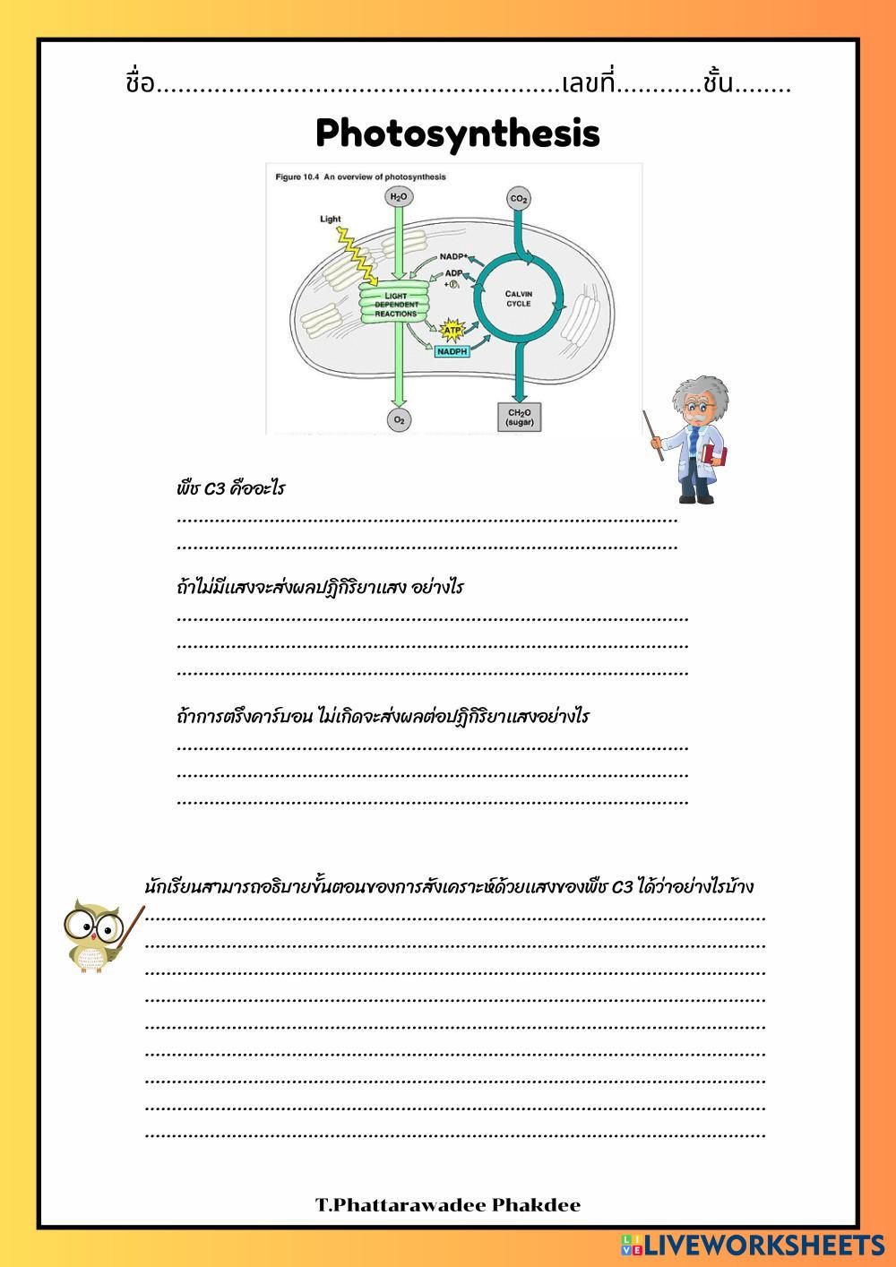 Photosynthesis Live Worksheets photosynthesis-live-worksheets