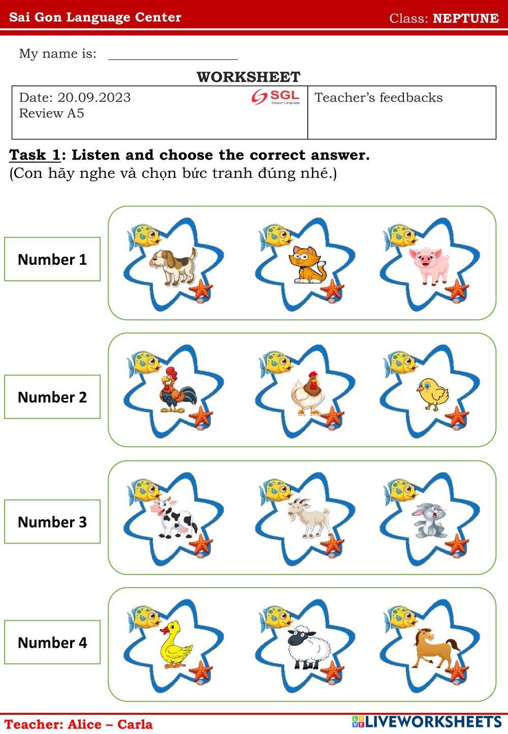 PPD-B1 | Live Worksheets