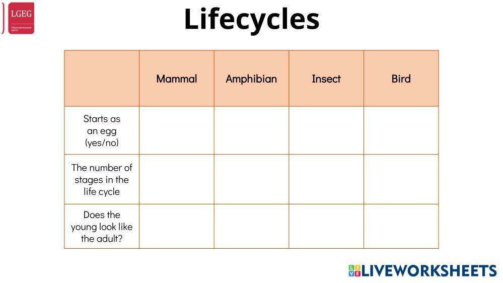 Lifecycle | Live Worksheets