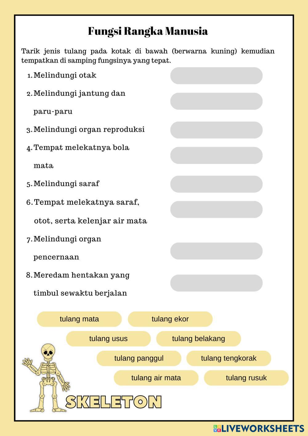 Fungsi Rangka Manusia | Live Worksheets