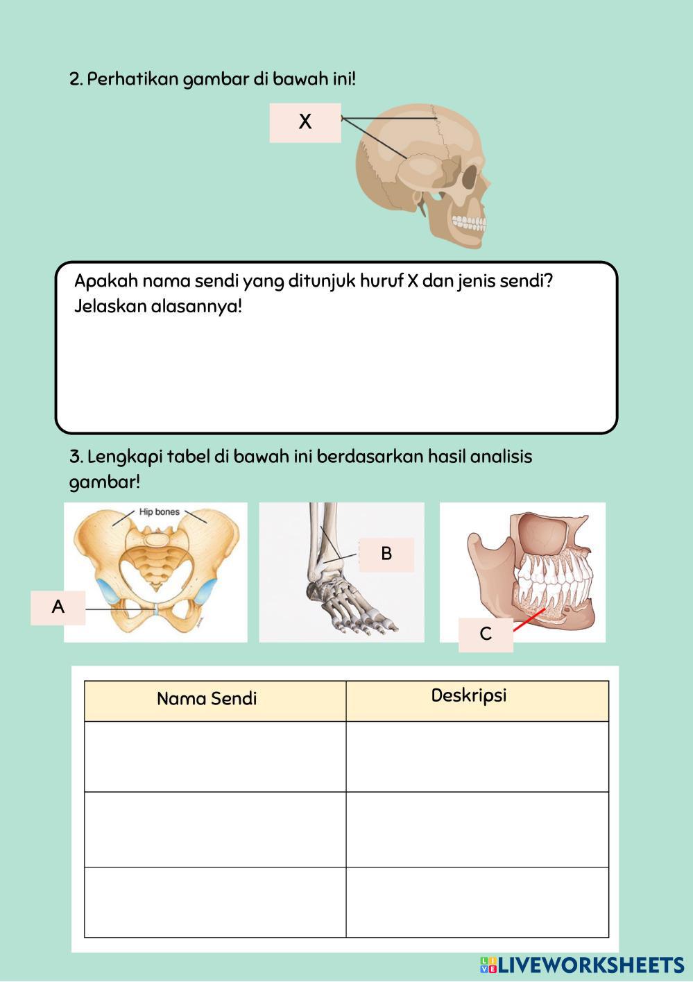 LDS Persendian | Live Worksheets