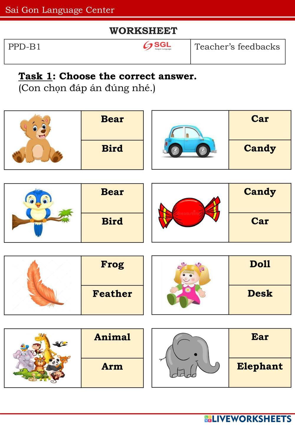 PPD - B1 | Live Worksheets