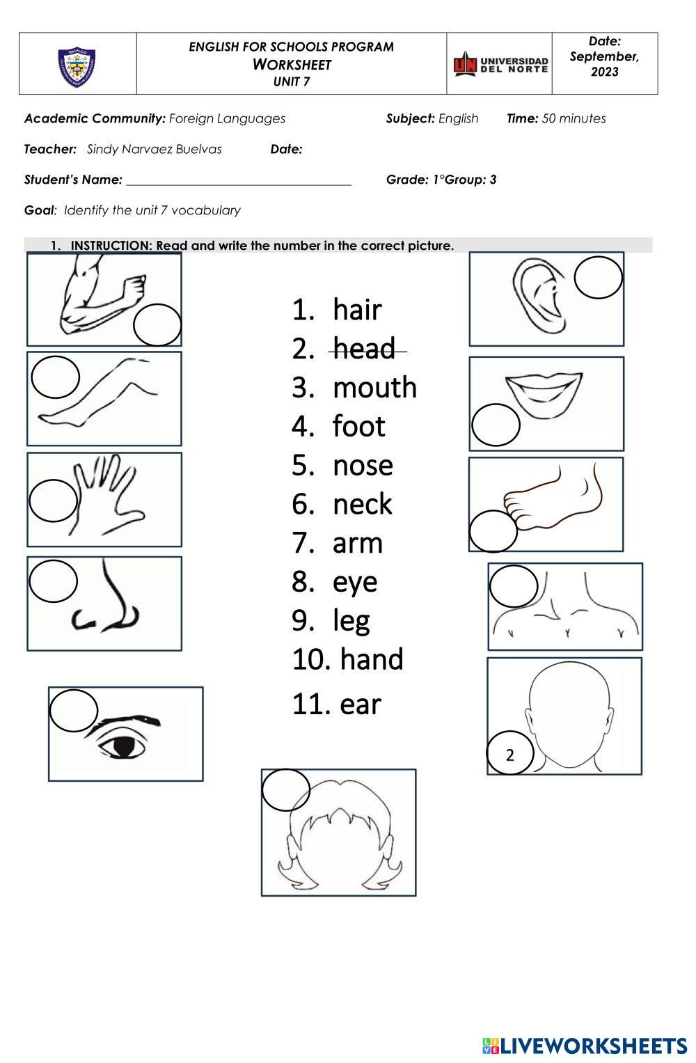 Body parts | Live Worksheets