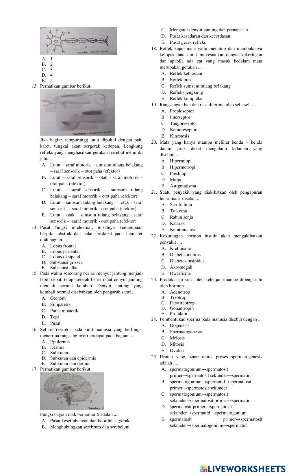 biologi | Live Worksheets