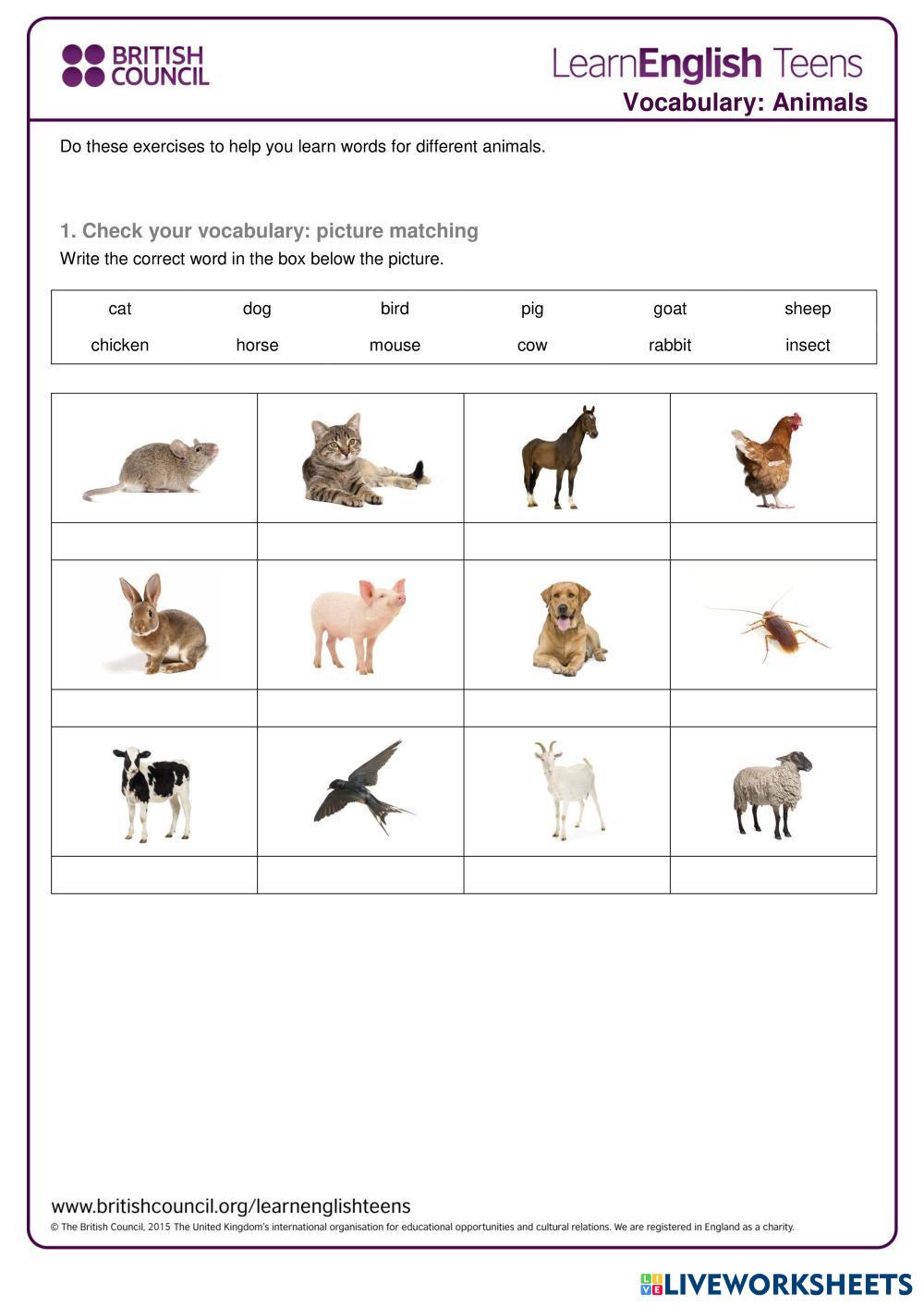 VOCABULARY EXCERCISE | Live Worksheets