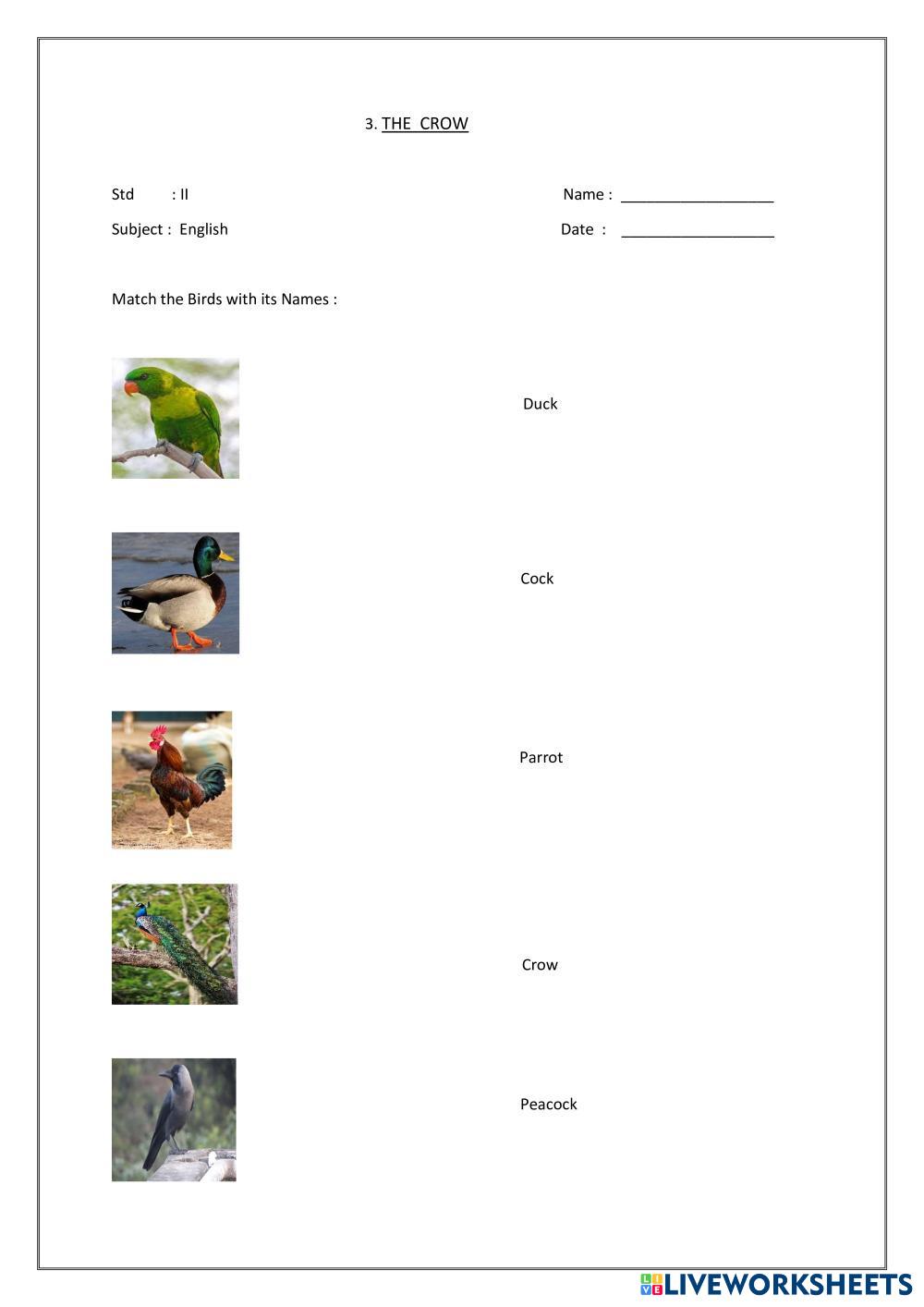 The Crow | Live Worksheets