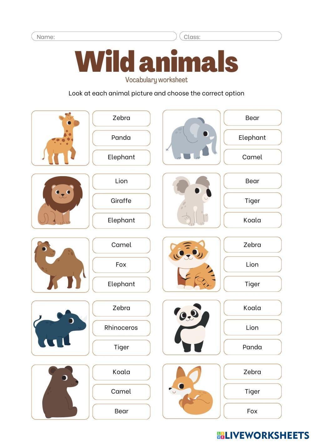 Animals | Live Worksheets