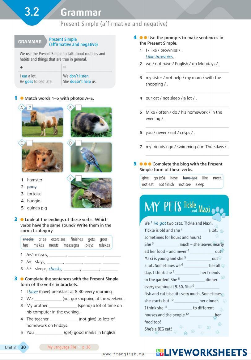 Grammar 3.2 | Live Worksheets