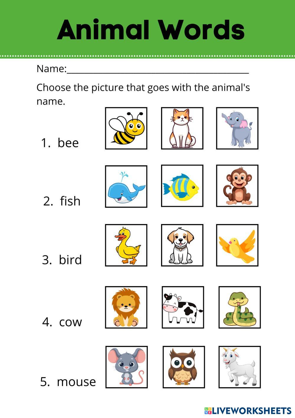 Animals | Live Worksheets