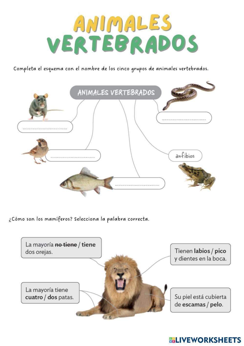 ANIMALES VERTEBRADOS 7513093 | LETICIA_RIAZA