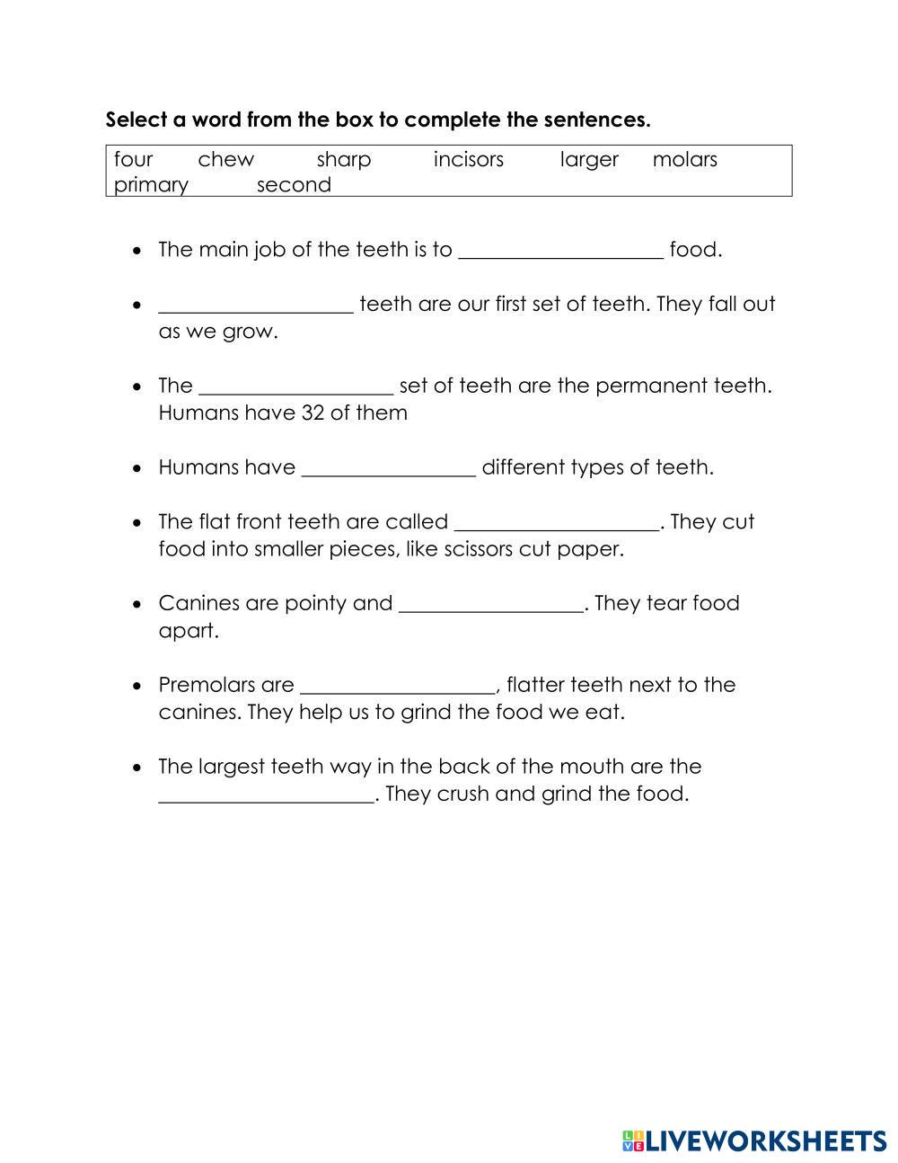 Types of Teeth | Free Interactive Worksheets | 7519850