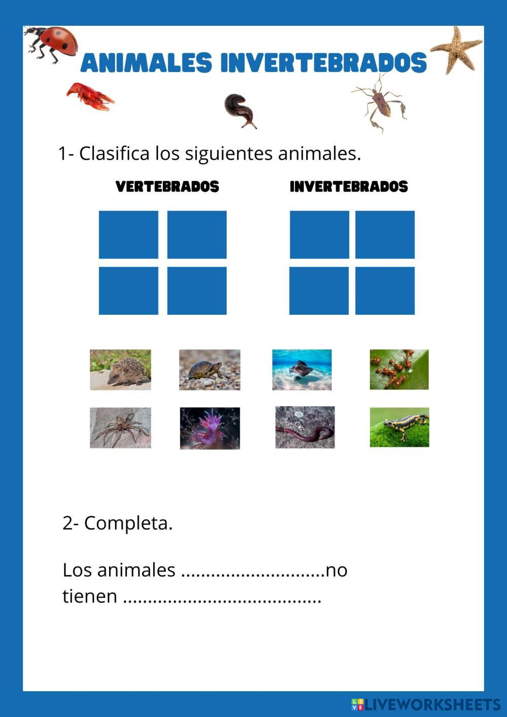 Invertebrados | Free Interactive Worksheets | 7523178