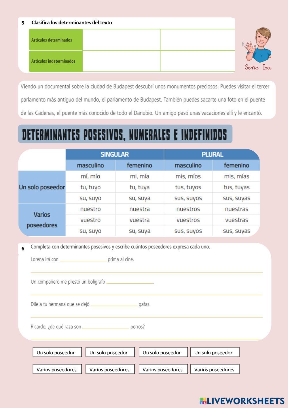 Los determinantes | Live Worksheets