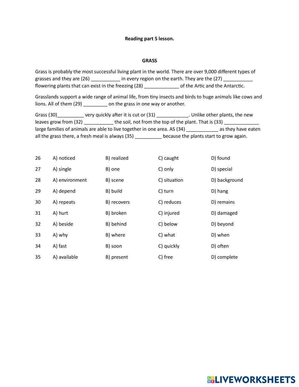 7526365 | PET- Reading part 5 lesson | lvsanchezc