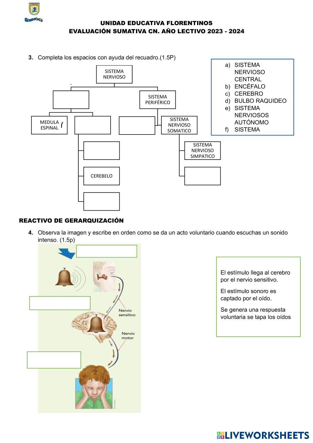 fgadfasdf | Andrango | Live Worksheets