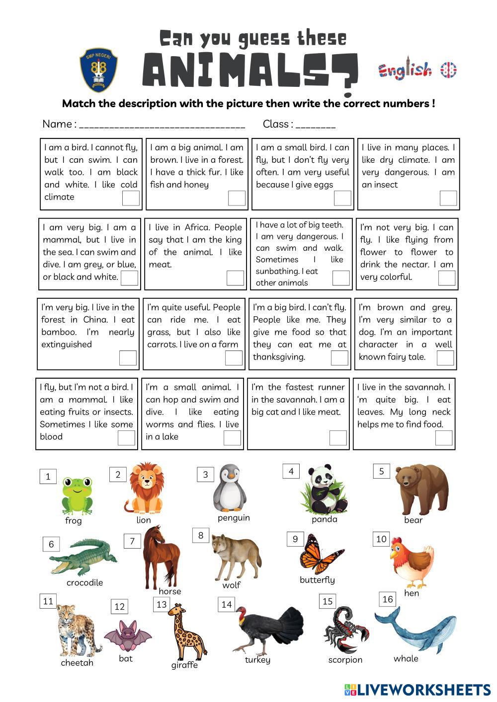 7527243 | Describing Animals | Veranika | LiveWorksheets