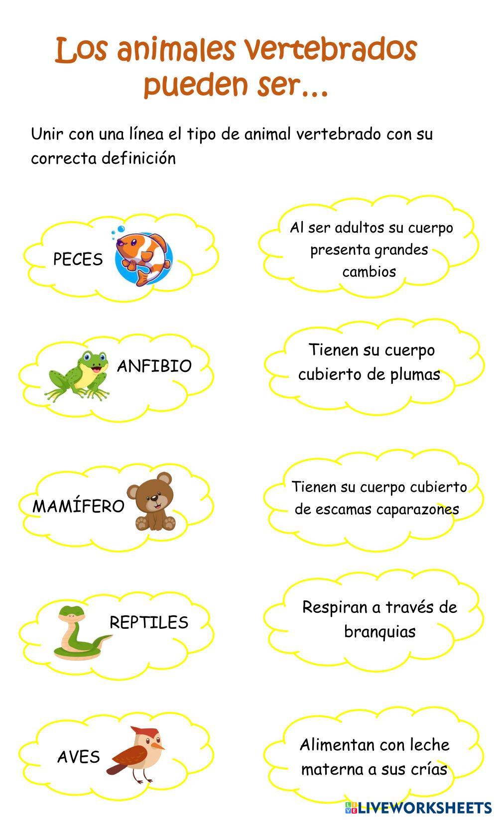 animales vertebrados | Live Worksheets