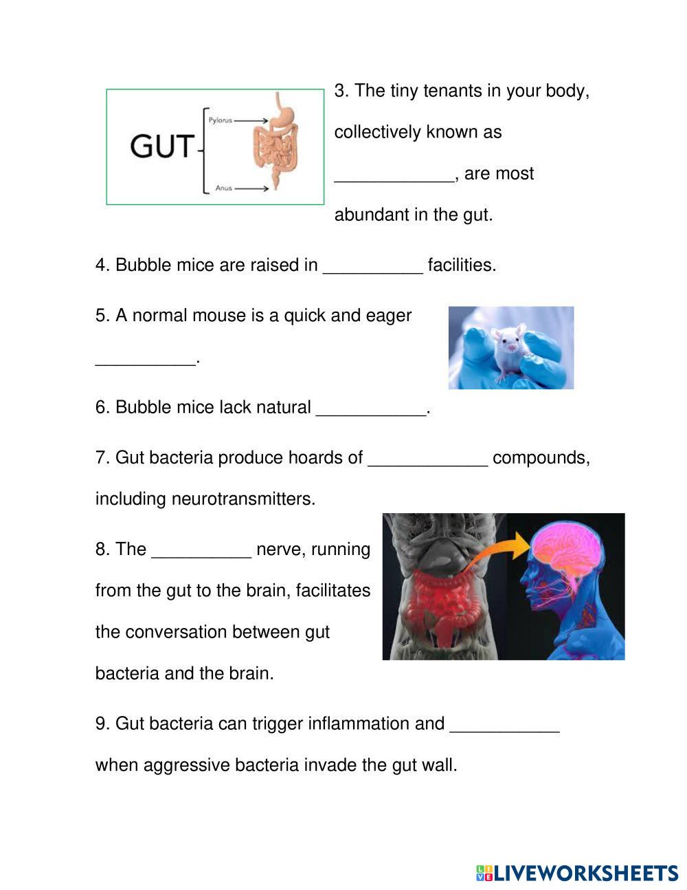 7530716 | Do Gut Microbes Control Your Personality? By