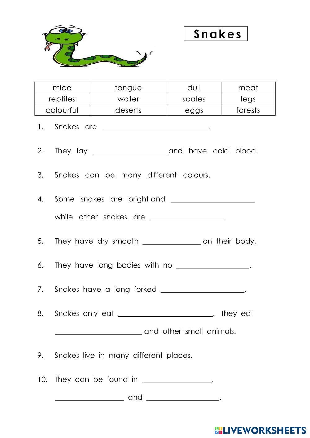 7535963 | REPTILES - SNAKES (HA) | LindaMTL