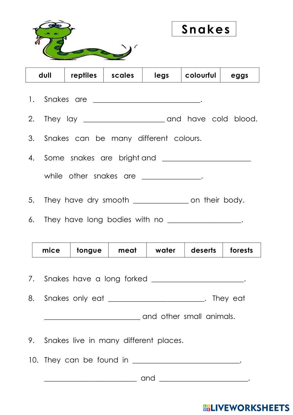 REPTILES - SNAKES (MA) | Live Worksheets