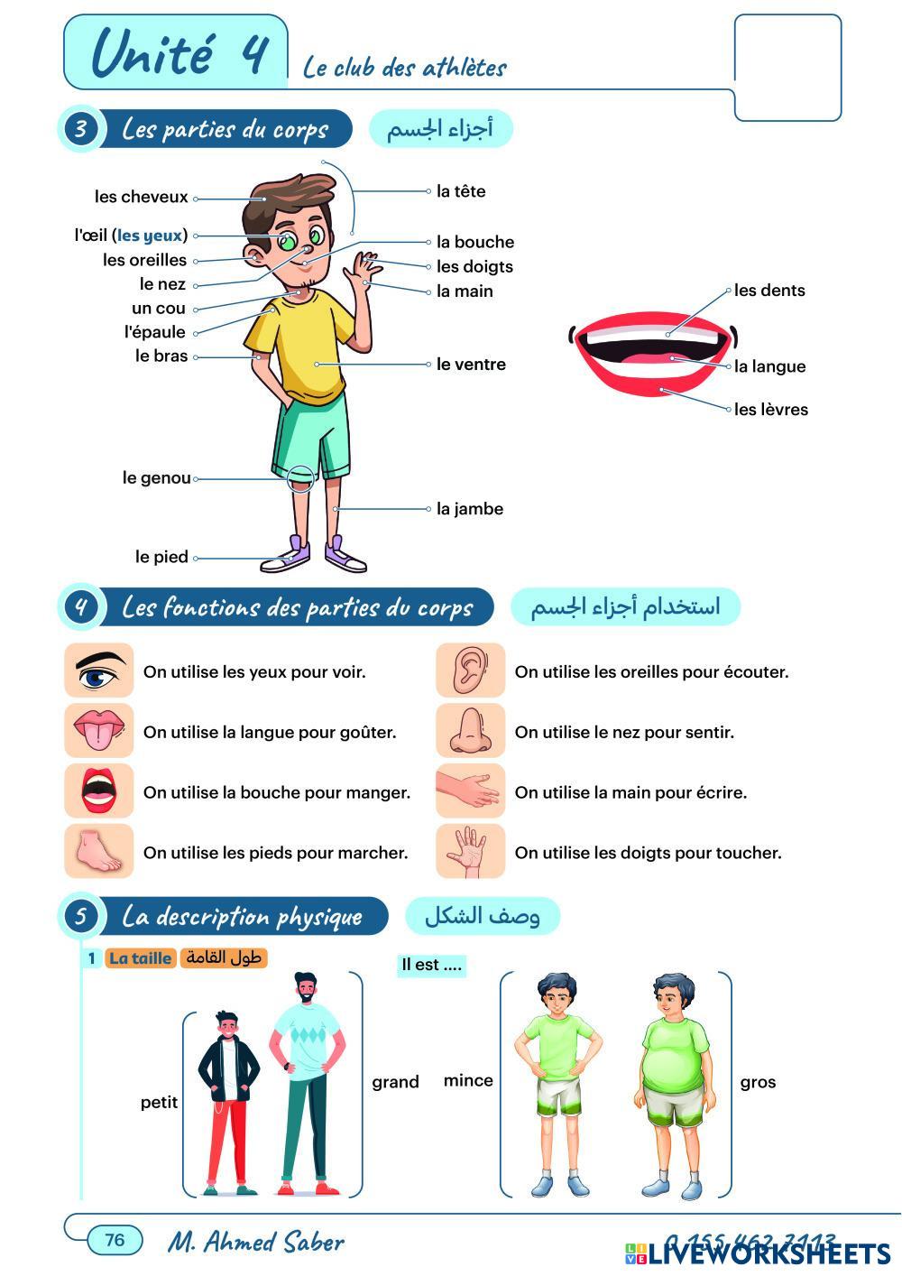 corps | Free Interactive Worksheets | 7542256
