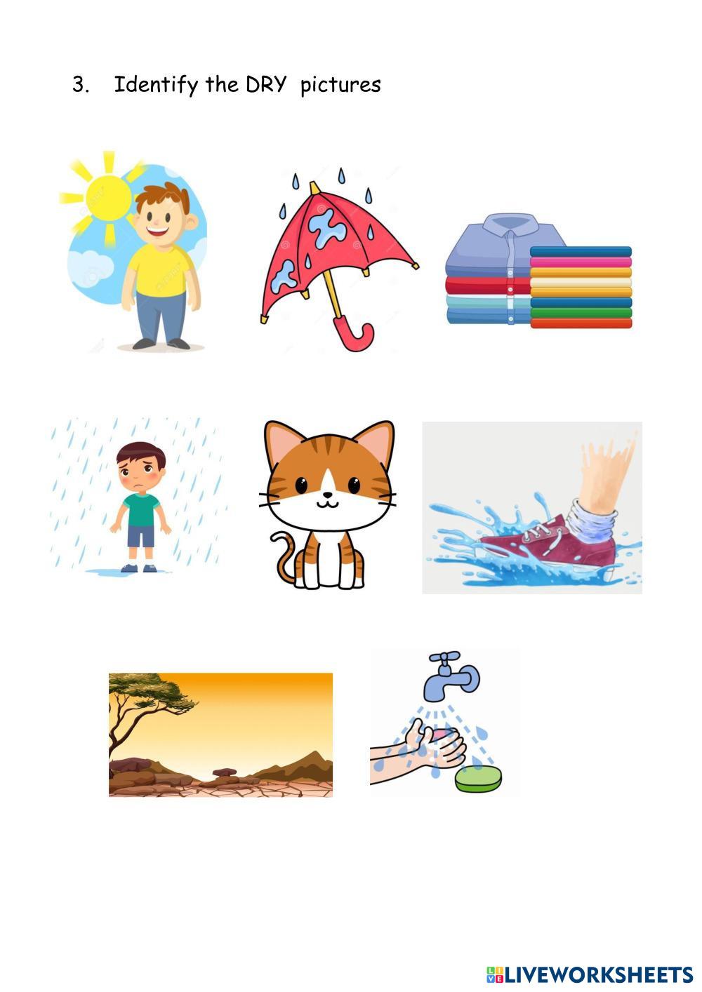 7542956 | WET AND DRY | Angeline Quinche