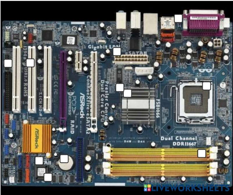 Placa Base | Free Interactive Worksheets | 7543470