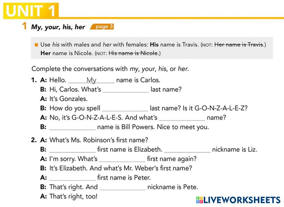 7877009 | My, your, his, her | KARINA SOLAR GUZMAN