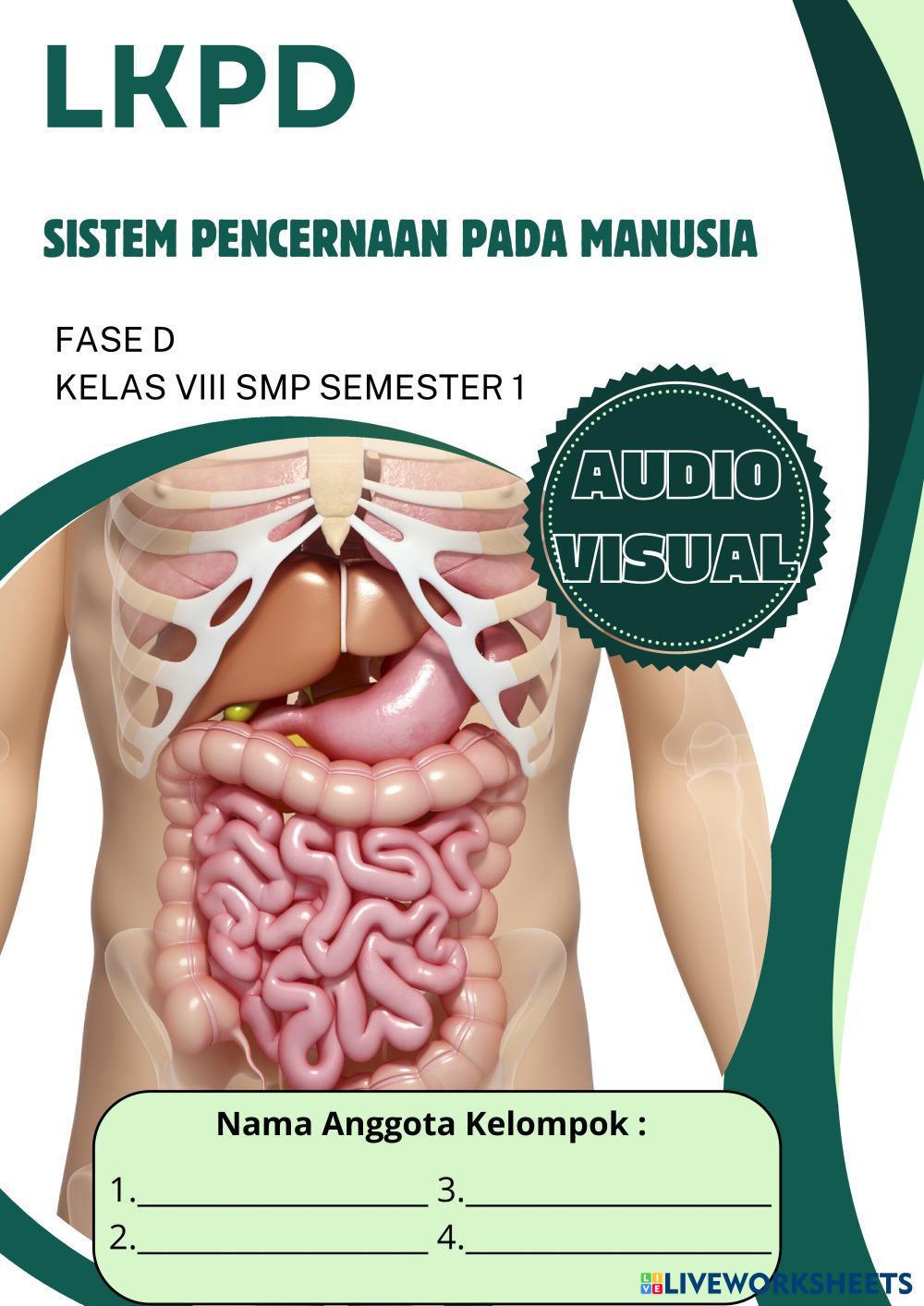 LKPD SISTEM PENCERNAAN PEMBELAJARAN BERDIFERENSIASI AUDIO