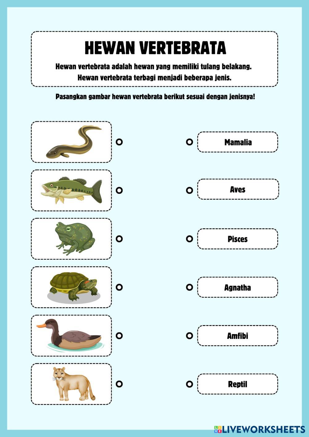 LKPD HEWAN VERT… | Free Interactive Worksheets | 7882384