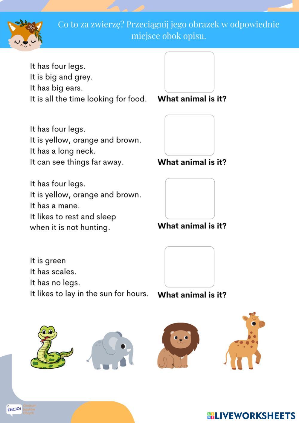 iw2 unit 2 animals 7883039 | EN Centrum Języków Obcych