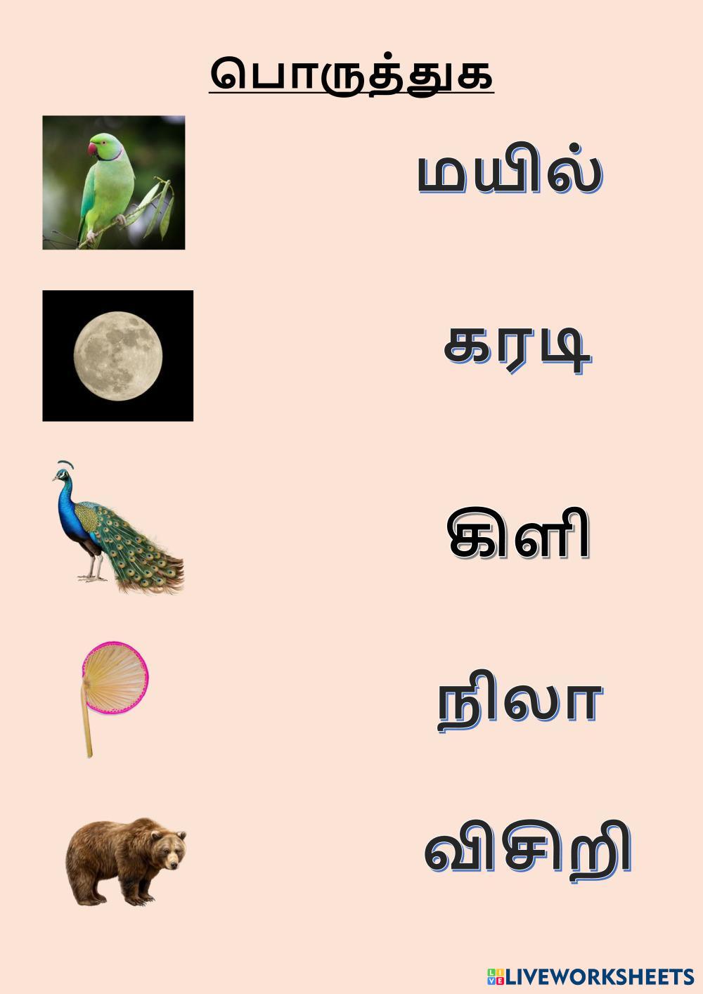 Tamil words | Free Interactive Worksheets | 7902949