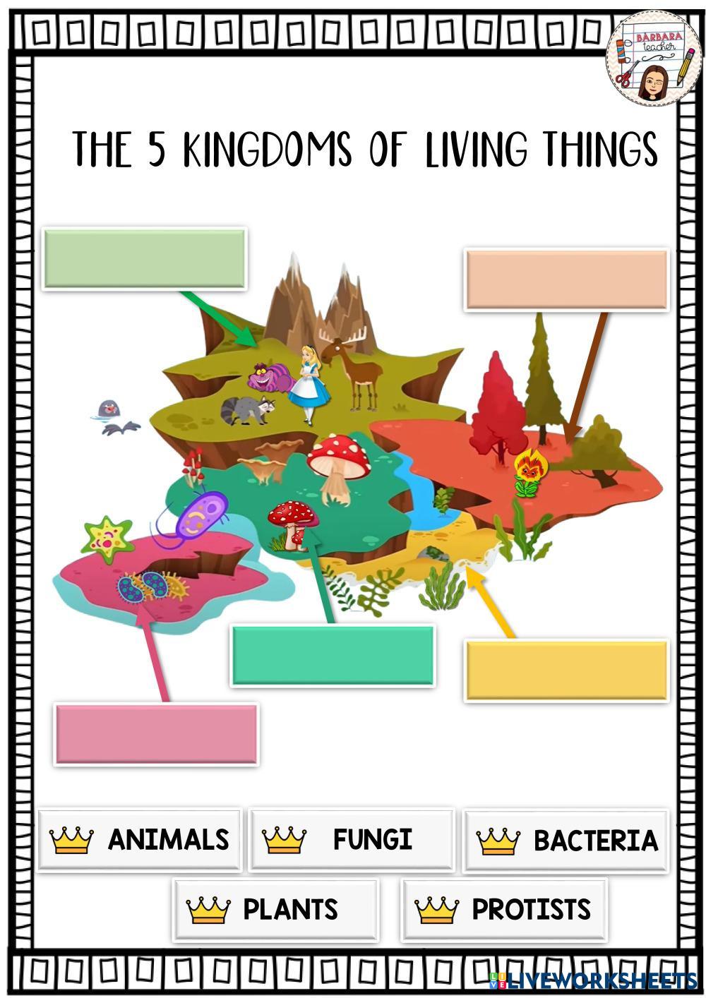 the 5 kingdoms … | Free Interactive Worksheets | 7905054