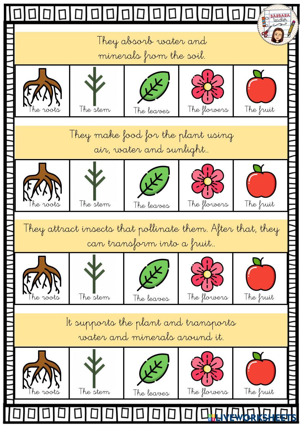 part of the pla… | Free Interactive Worksheets | 7913902