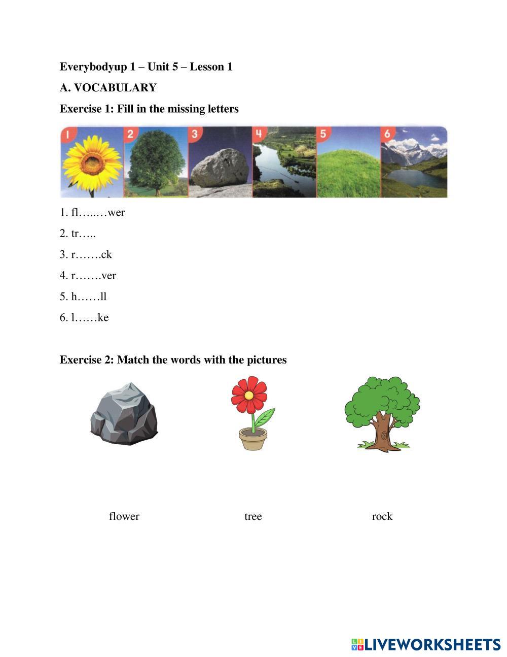 7916493 | Self Study_EBU 1_Unit 5_Lesson 1