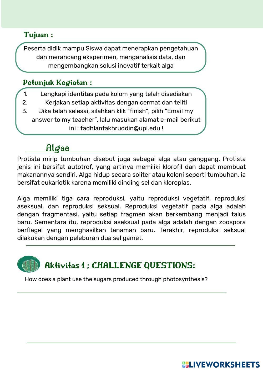 Fadhlan Fakhrud… | Free Interactive Worksheets | 7920998